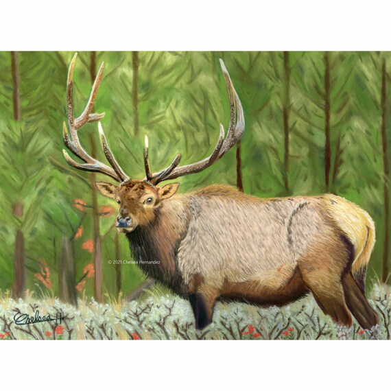 Bull Elk Art Print Elk Art Elk Painting Elk Pastel Prints | Etsy