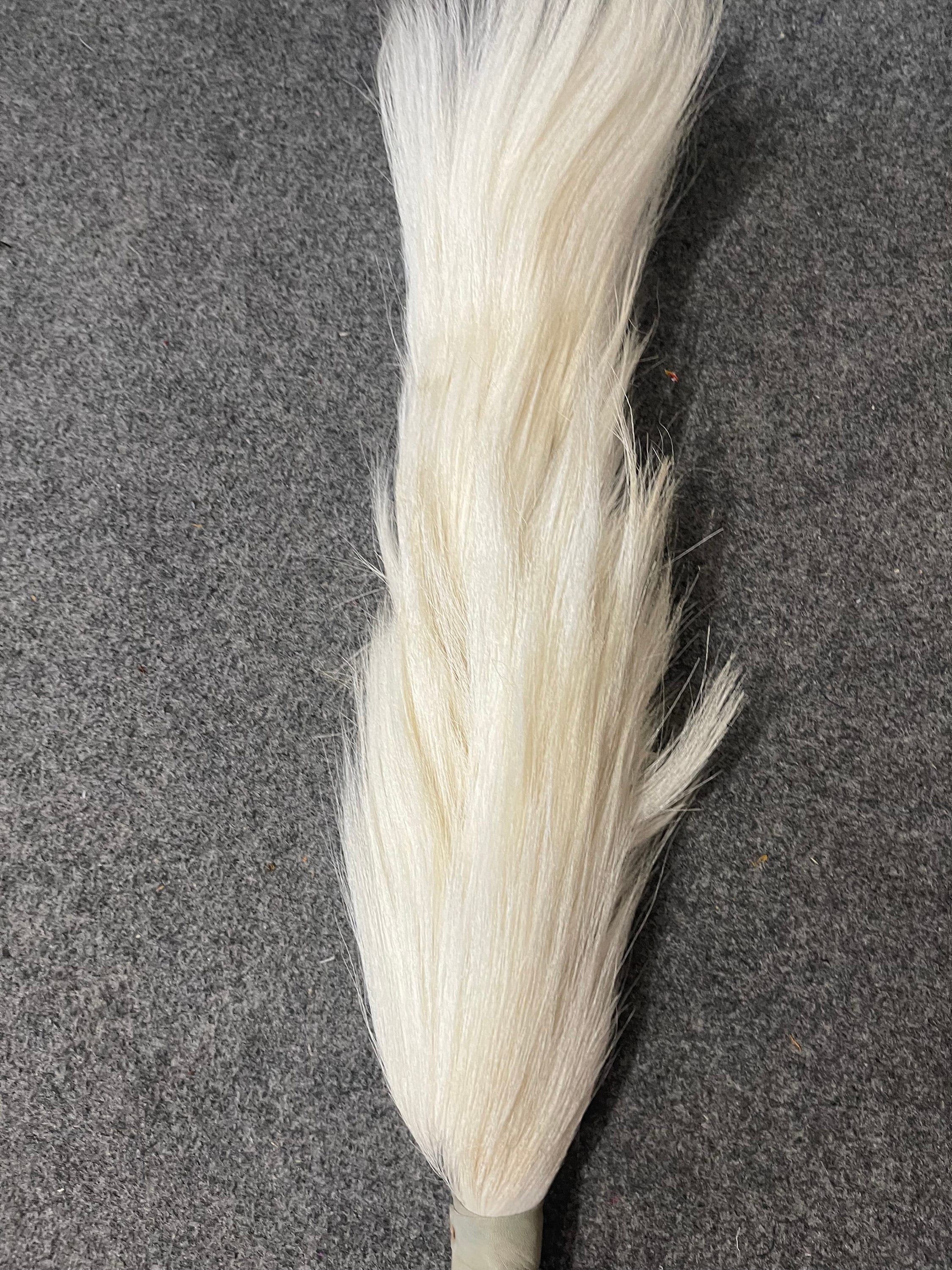 Horse Tail,african Horse Tail, Nigerian Horse Tail,horse Tail for ...