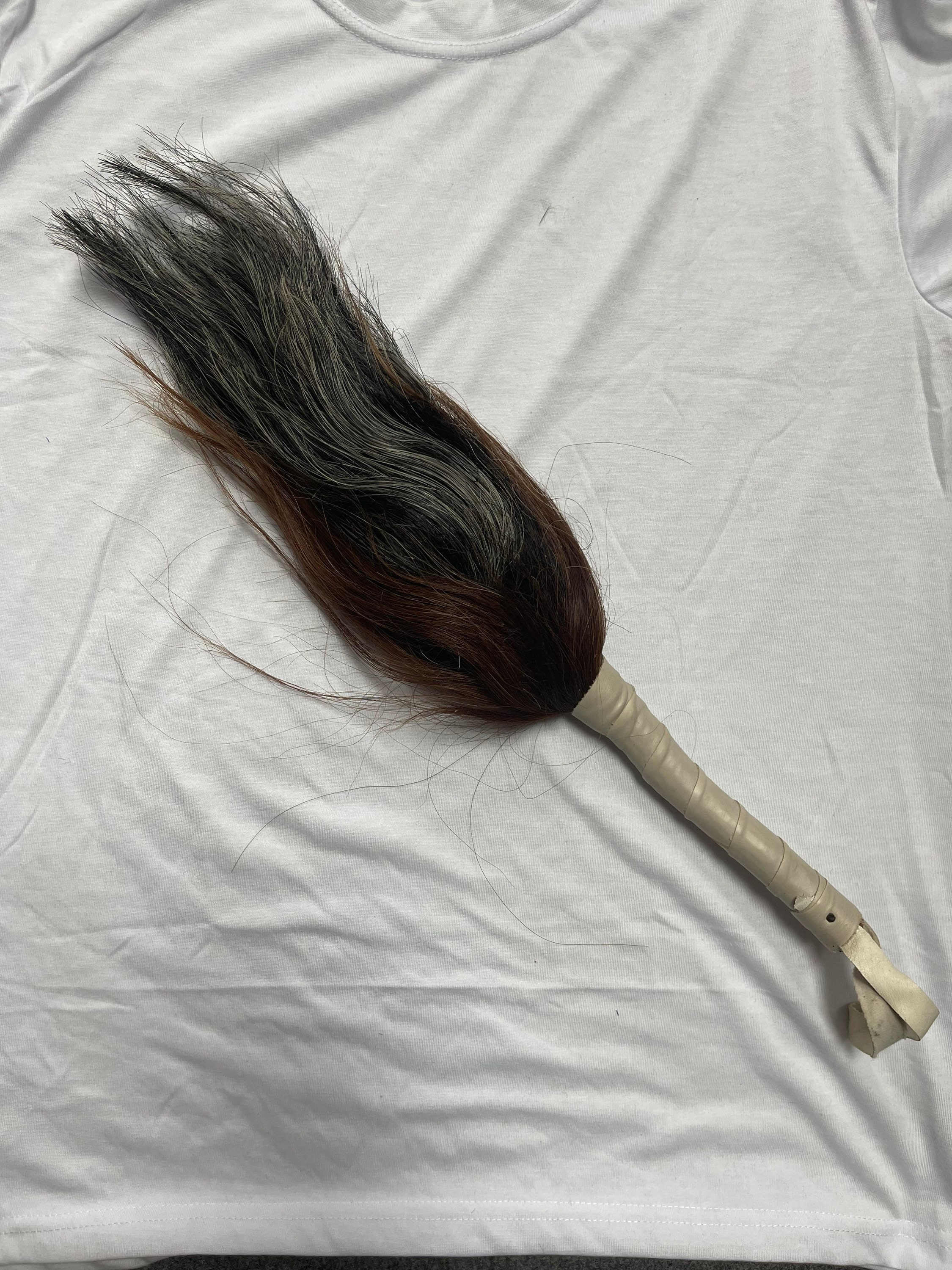 African Horse Tail - Etsy