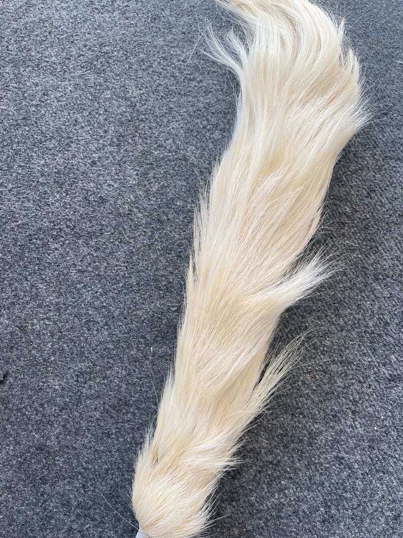 Horse Tail,african Horse Tail, Nigerian Horse Tail,horse Tail for ...