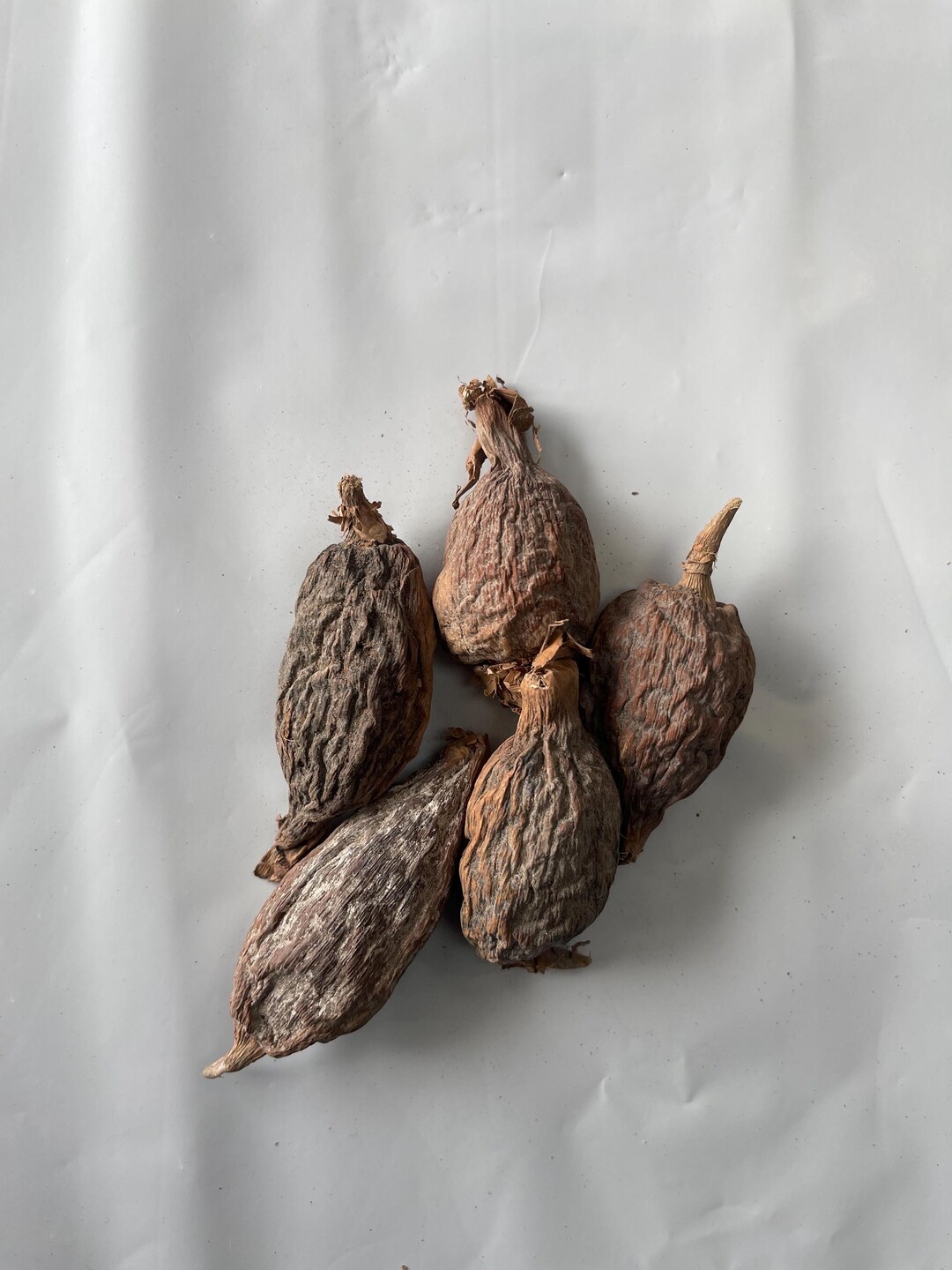African Organic Alligator Pepper Atare, Grain of Paradise Pods, Guinea ...