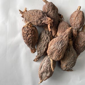 African Organic Alligator Pepper Atare, Grain of Paradise Pods, Guinea ...