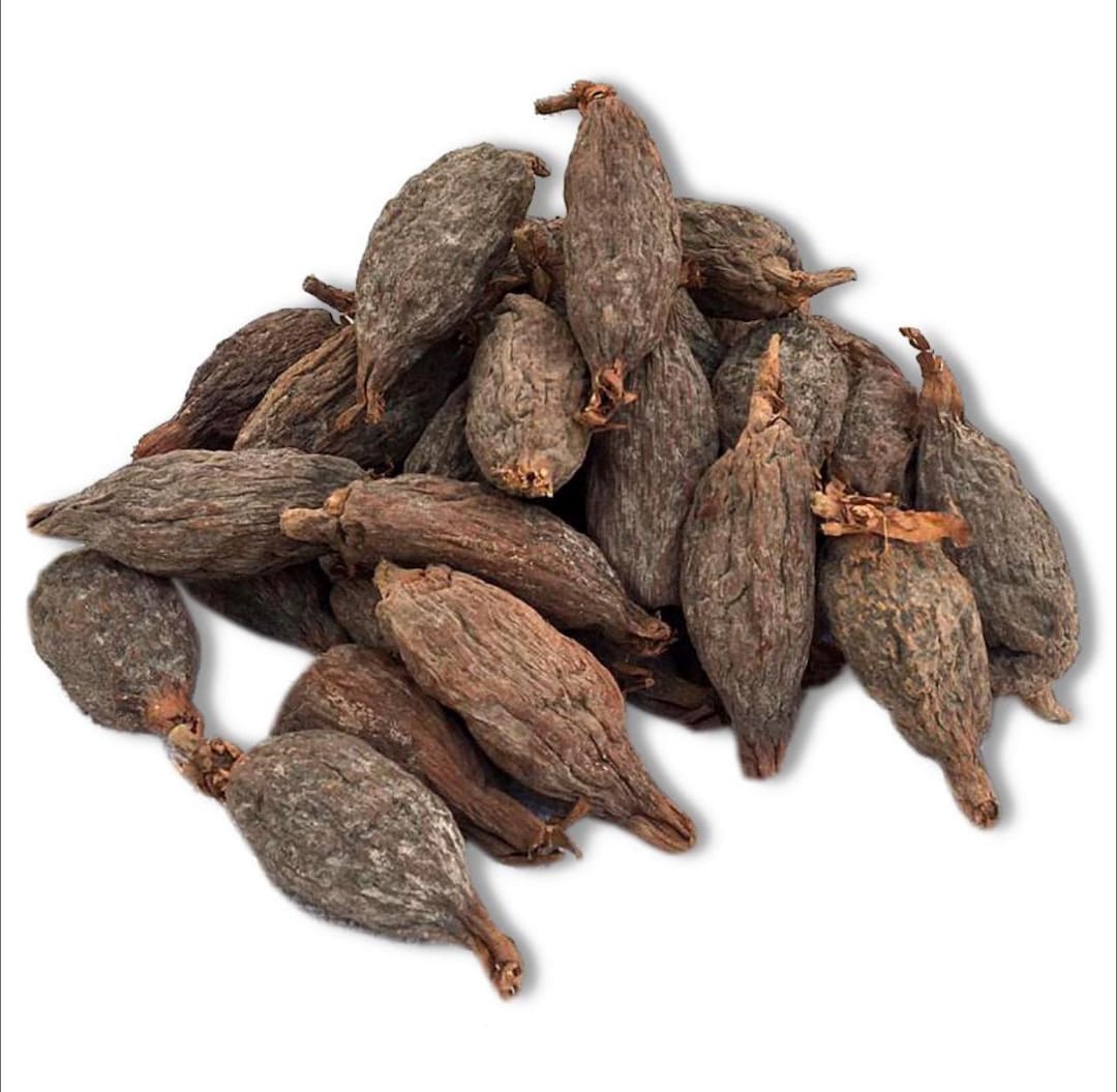 African Organic Alligator Pepper Atare, Grain of Paradise Pods, Guinea ...