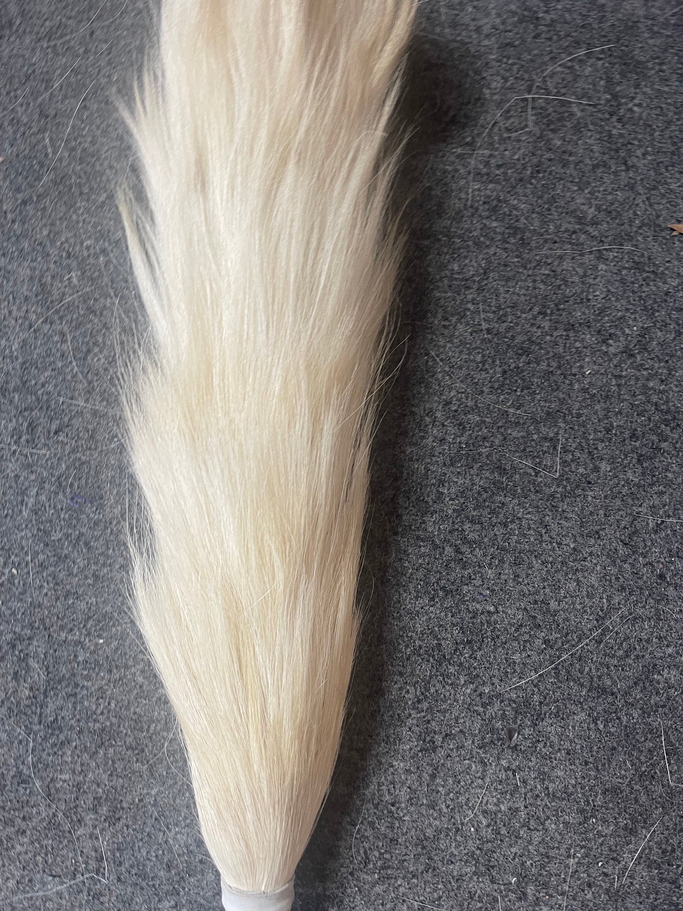 Horse Tail,african Horse Tail, Nigerian Horse Tail,horse Tail for ...