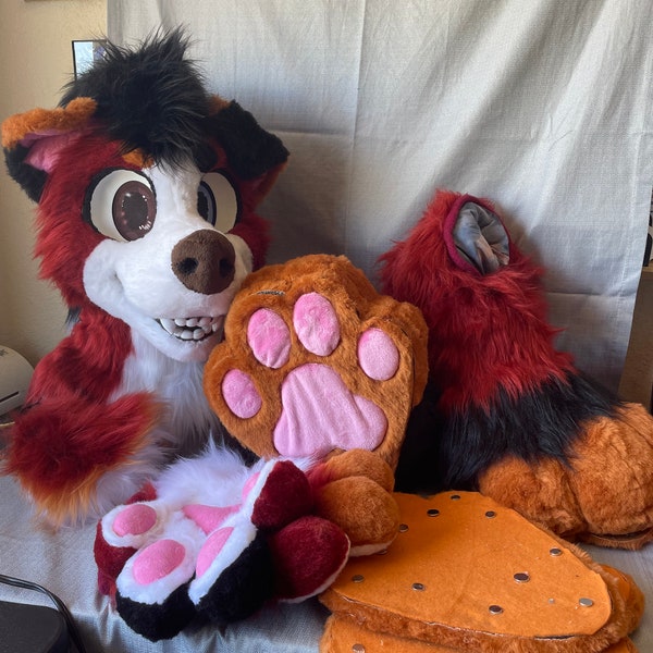 Australian Shepherd Fursuit - Etsy