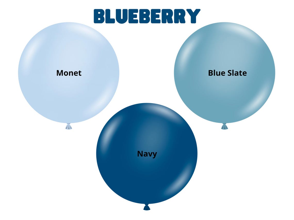 Blueberry Baby Shower, DIY Balloon Garland Kit, so Berry Cute, Berry ...