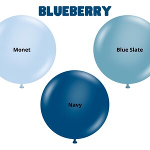 Blueberry Baby Shower, DIY Balloon Garland Kit, so Berry Cute, Berry ...
