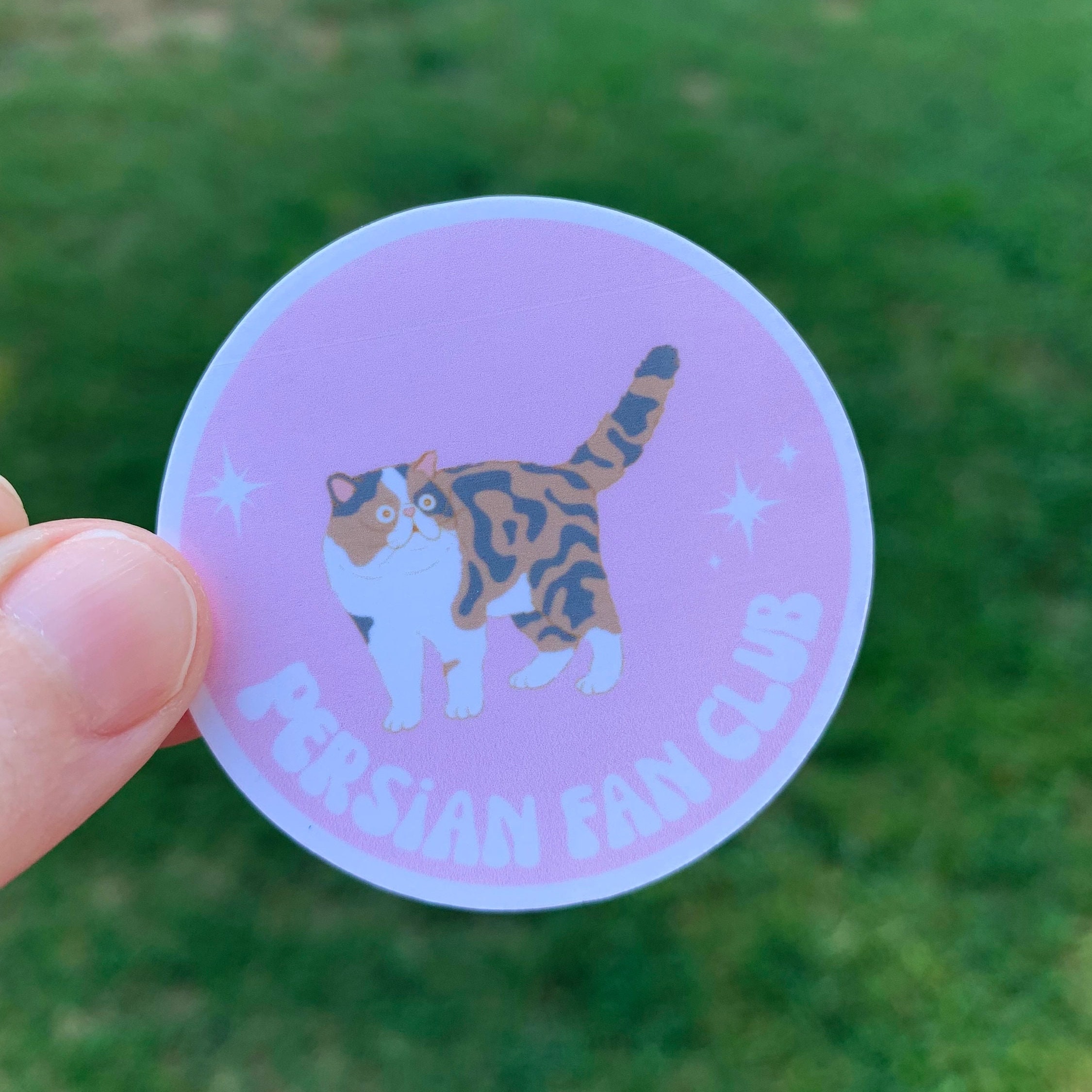 Persian Cat Fan Club Vinyl Sticker Cat Sticker - Etsy