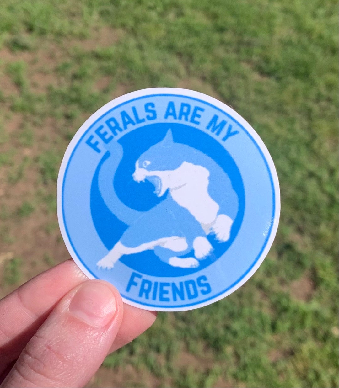 Feral Cats Sticker Vinyl Sticker Cat Sticker Laminated Decal - Etsy