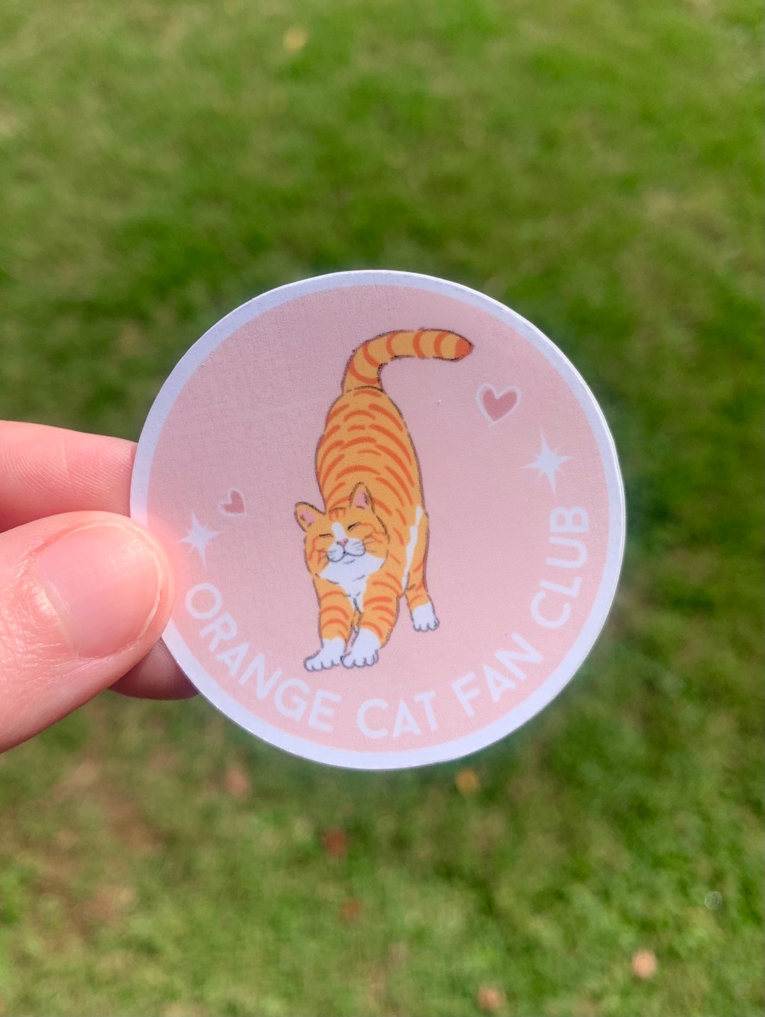 Orange Cat Fan Club Sticker Vinyl Sticker Cat Sticker - Etsy