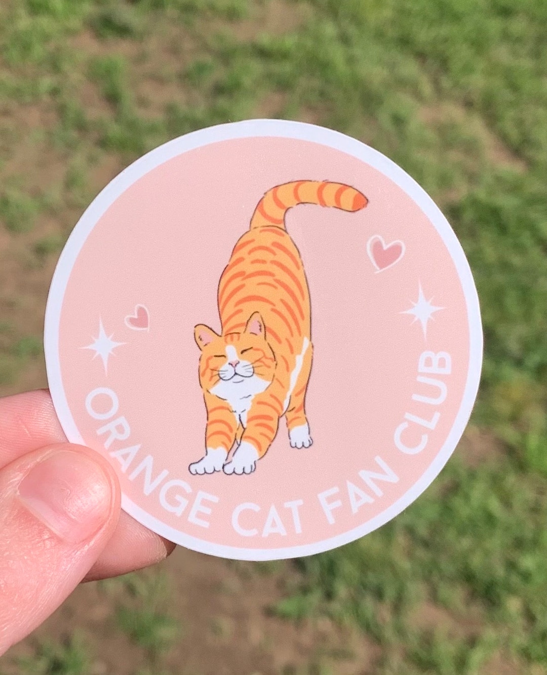 Orange Cat Fan Club Sticker - Vinyl Sticker - Cat Sticker - Laminated ...