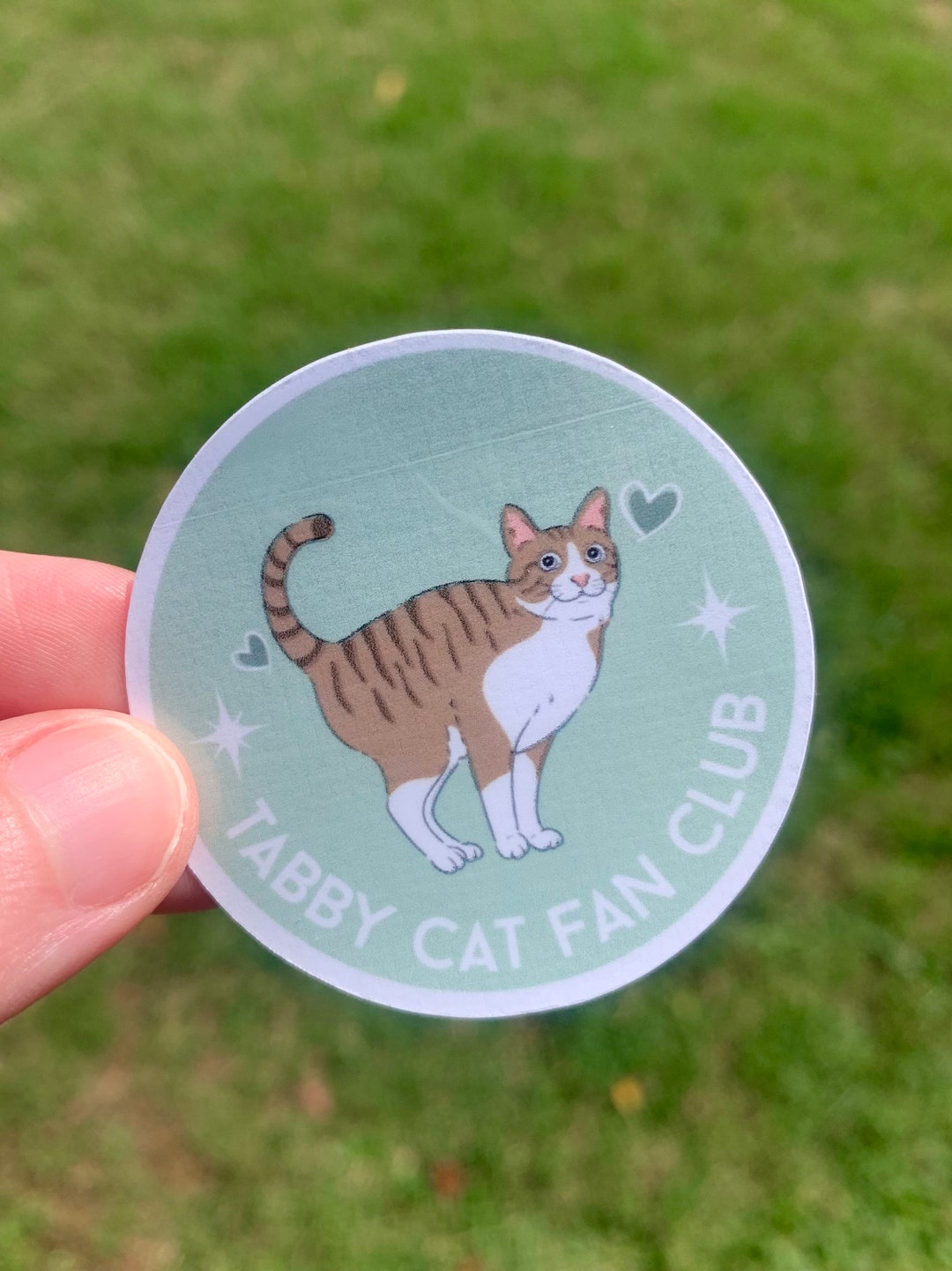 Tabby Cat Fan Club Sticker Vinyl Sticker Cat Sticker - Etsy