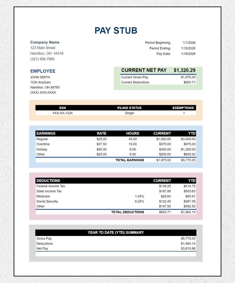 Paystub Template, Earnings Statement, Employee Payroll, Small Business ...