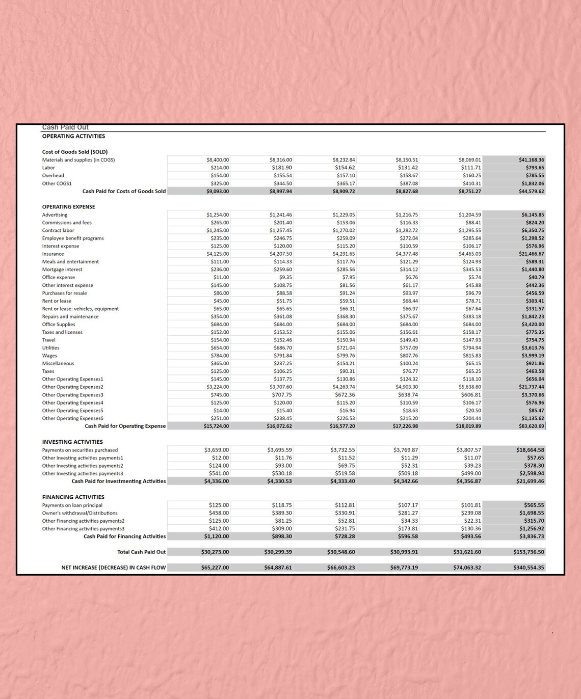 Cash Flow Statement, Cash Flow Template, Cashflow Projection, Five ...