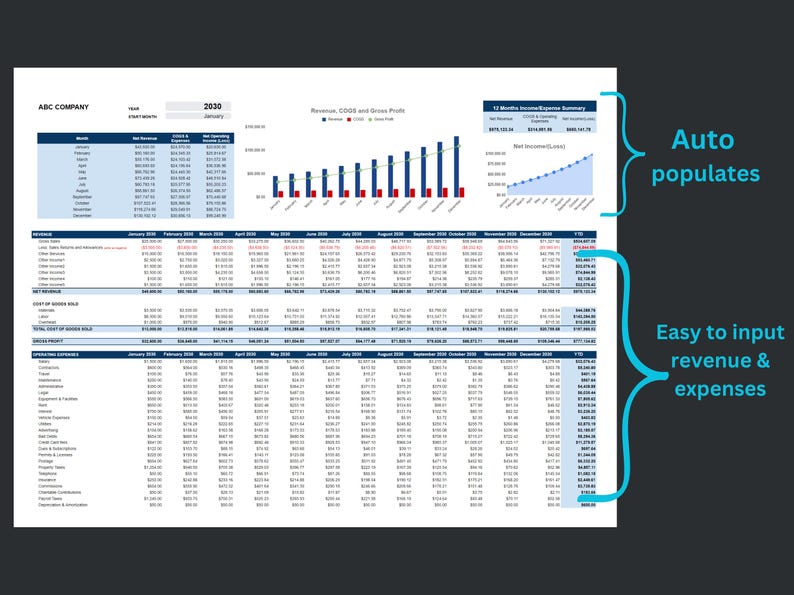 Profit and Loss Dashboard, Income and Expense Statement, 12 Months ...