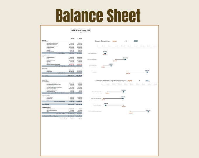 Balance Sheet | Statement of Financial Position | Excel Template | Digital Download | Editable ...