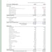Two Year Income Statement Template (excel & Google Sheets) - Etsy