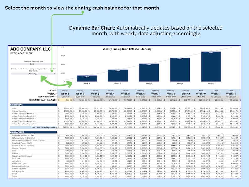 Weekly Cash Flow Template for Small Business - Etsy