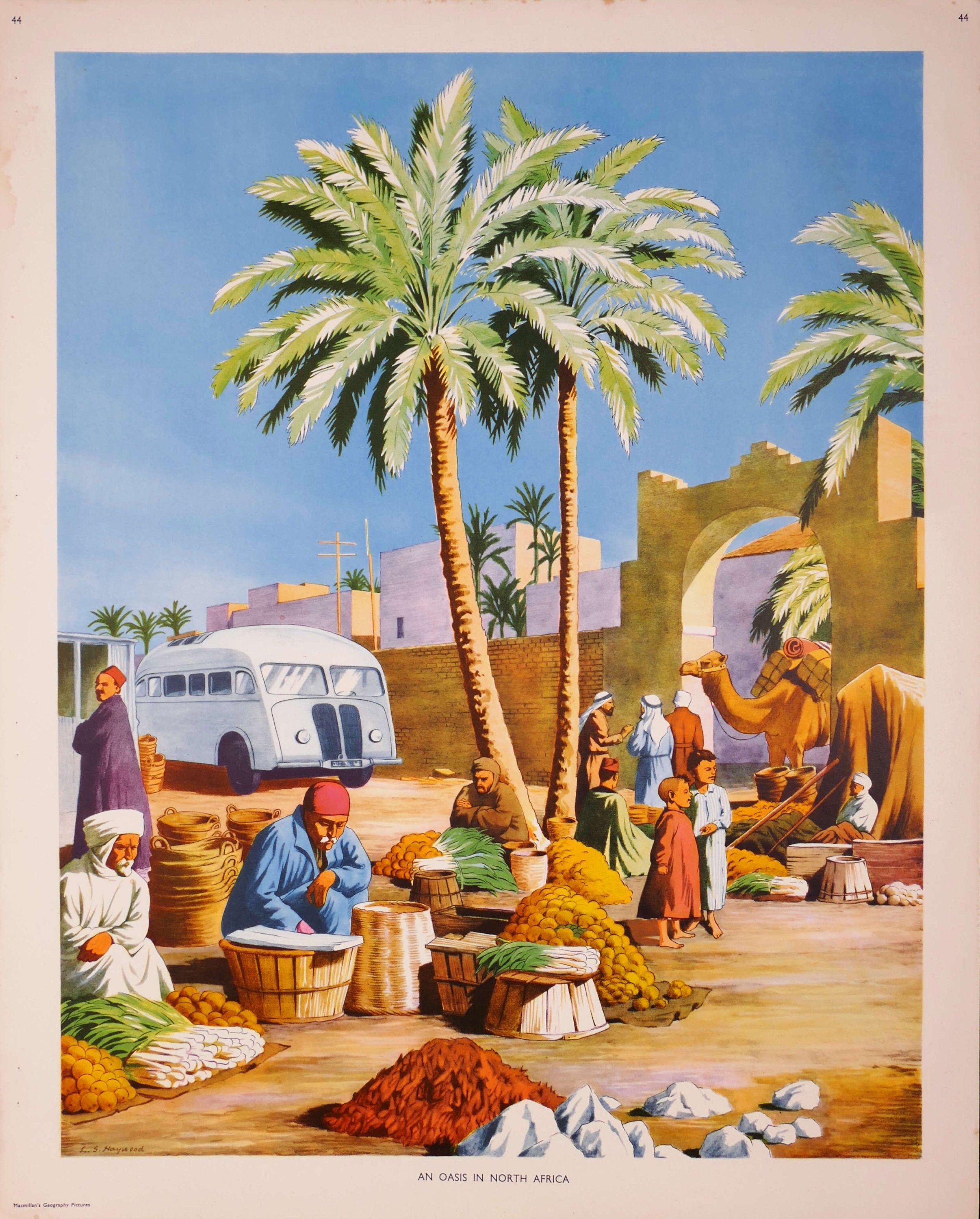Macmillan's Geography Pictures. an Oasis in North Africa, Colour ...