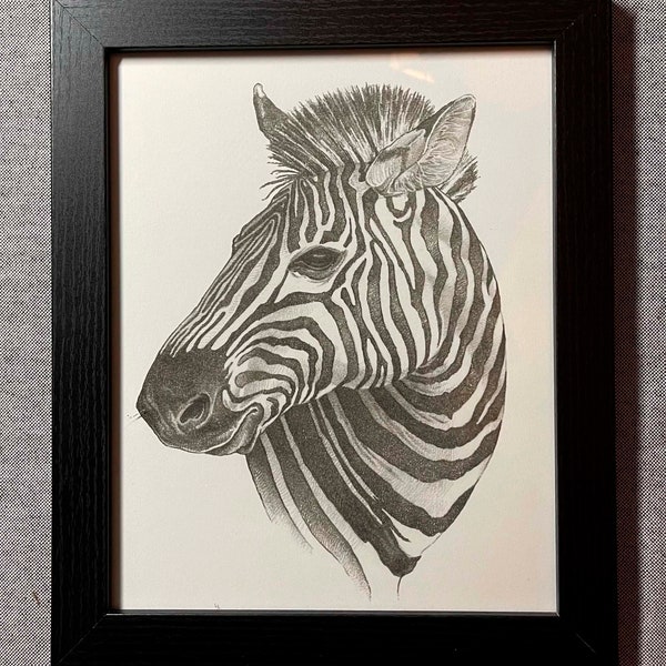 Zebra Drawing - Etsy