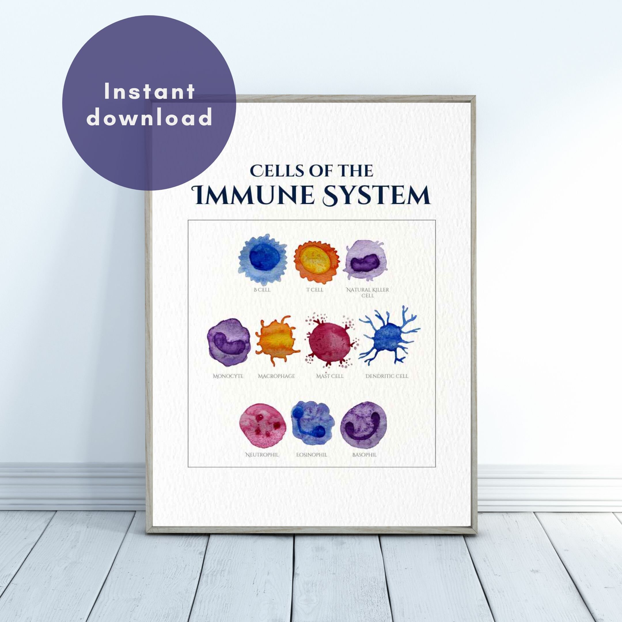Cells of the Immune System Poster, Watercolor Print Download ...