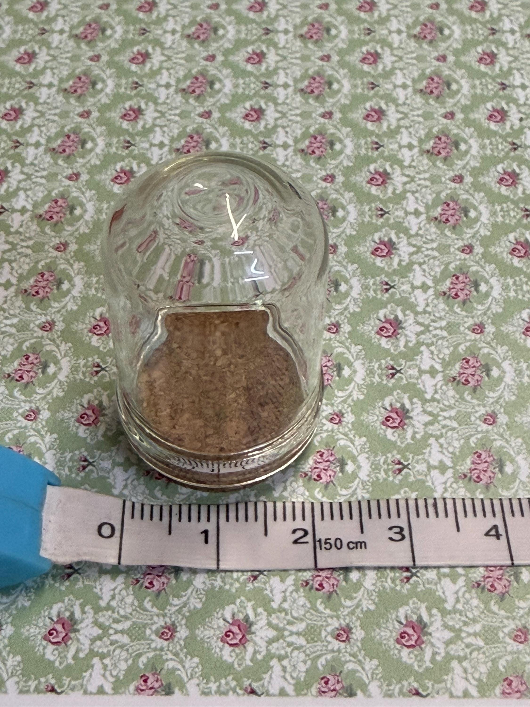 Miniature Glass Terrarium Domes - DIY Craft Domes - Etsy
