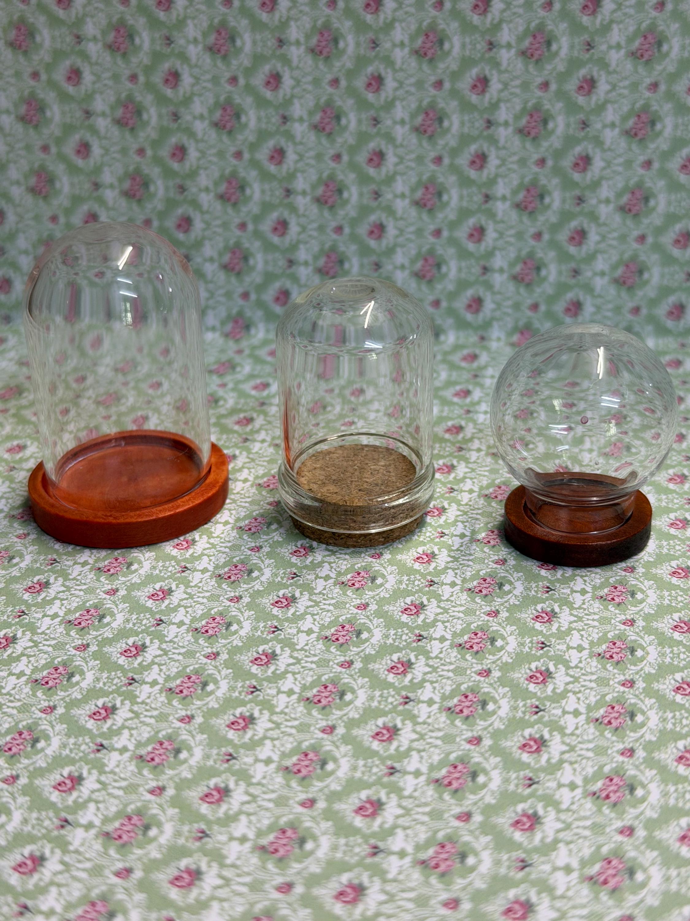 Miniature Glass Terrarium Domes - DIY Craft Domes - Etsy