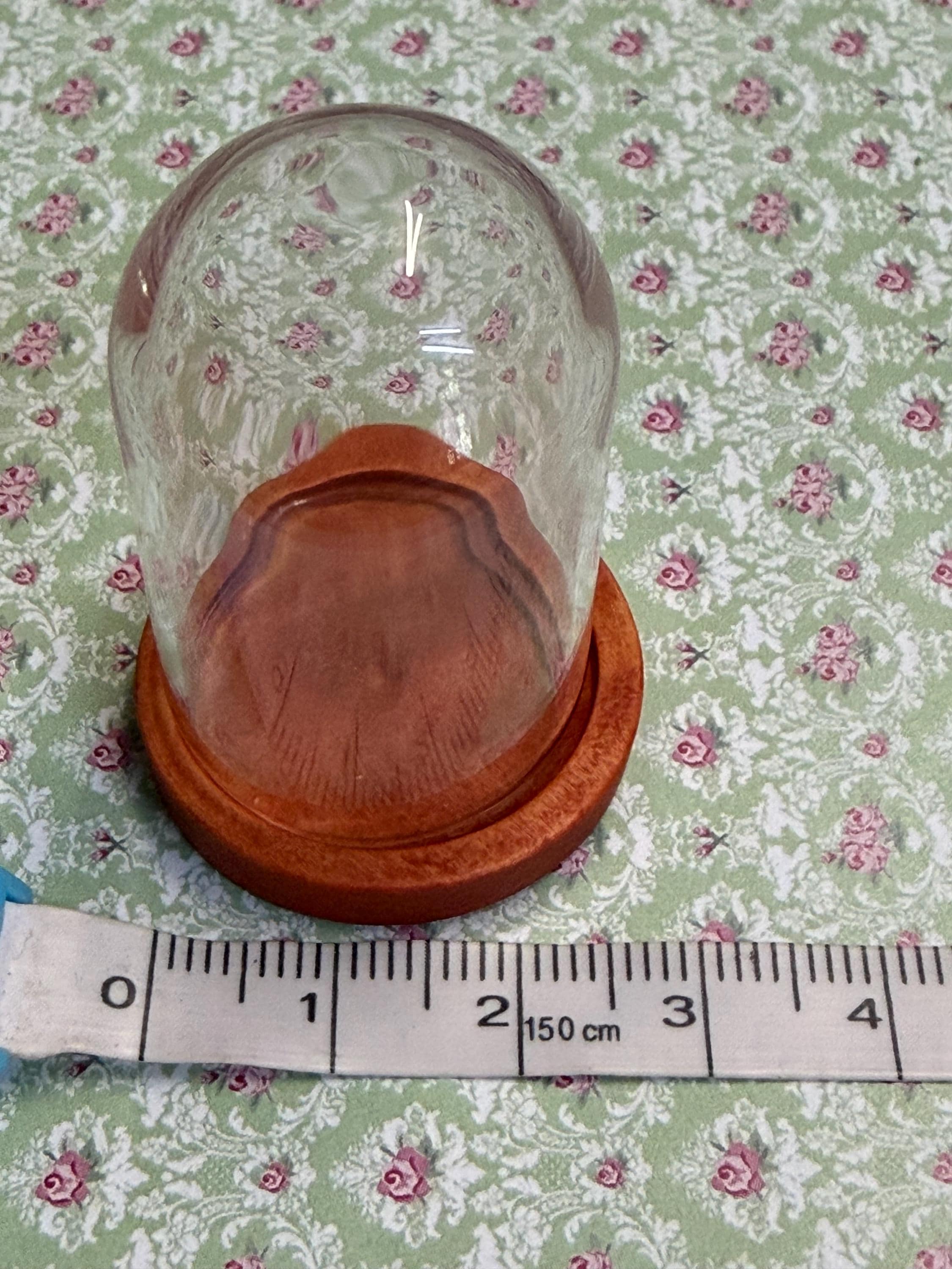 Miniature Glass Terrarium Domes - DIY Craft Domes - Etsy