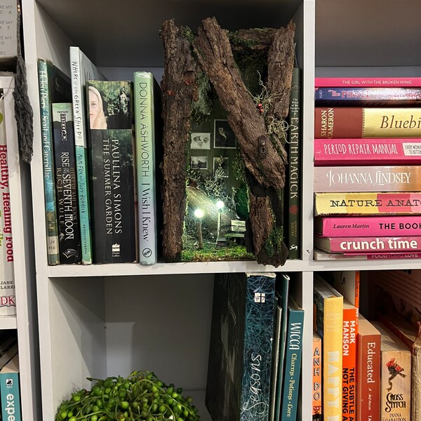 Bookshelf Insert Art - Etsy