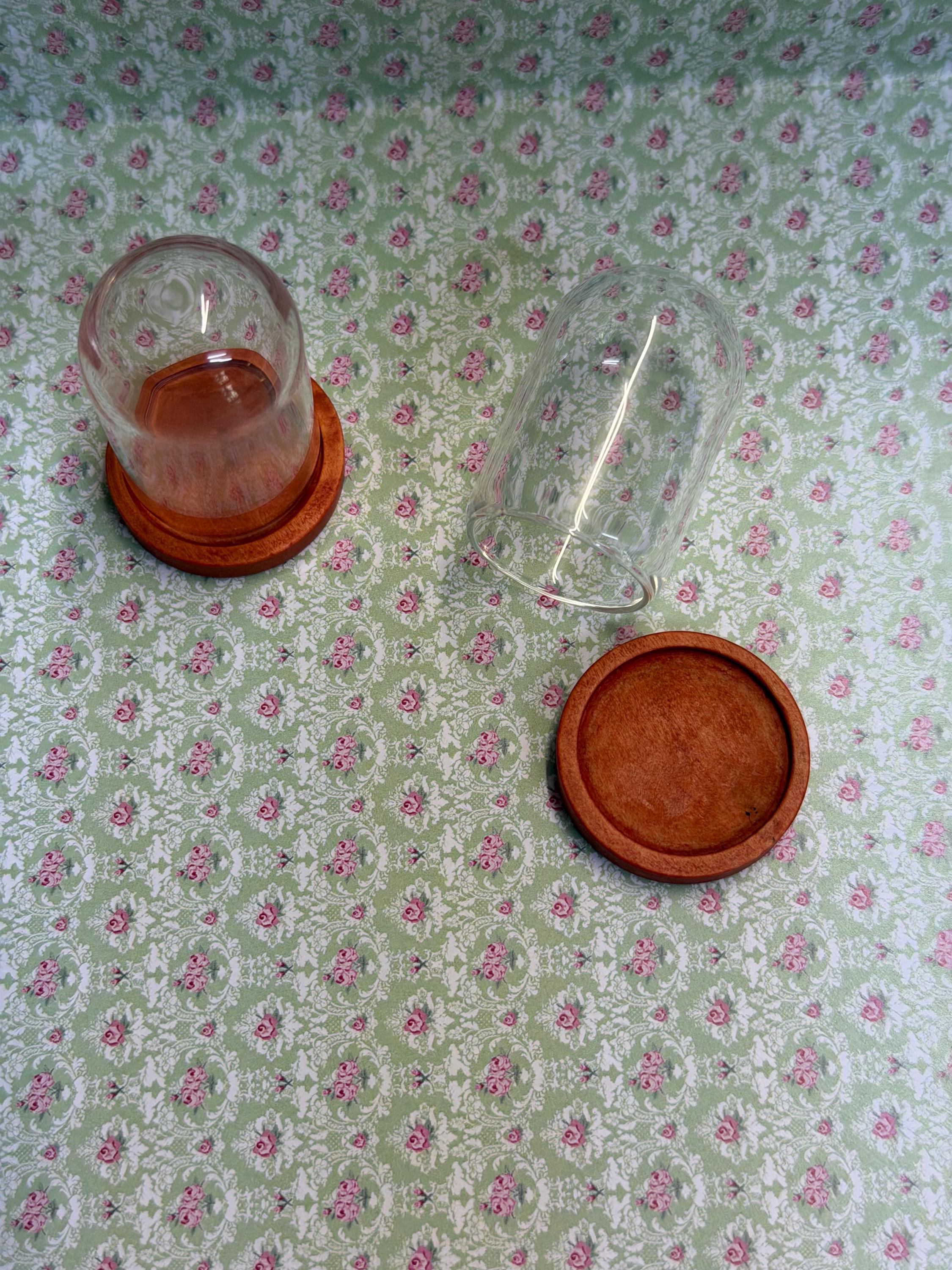 Miniature Glass Terrarium Domes - DIY Craft Domes - Etsy