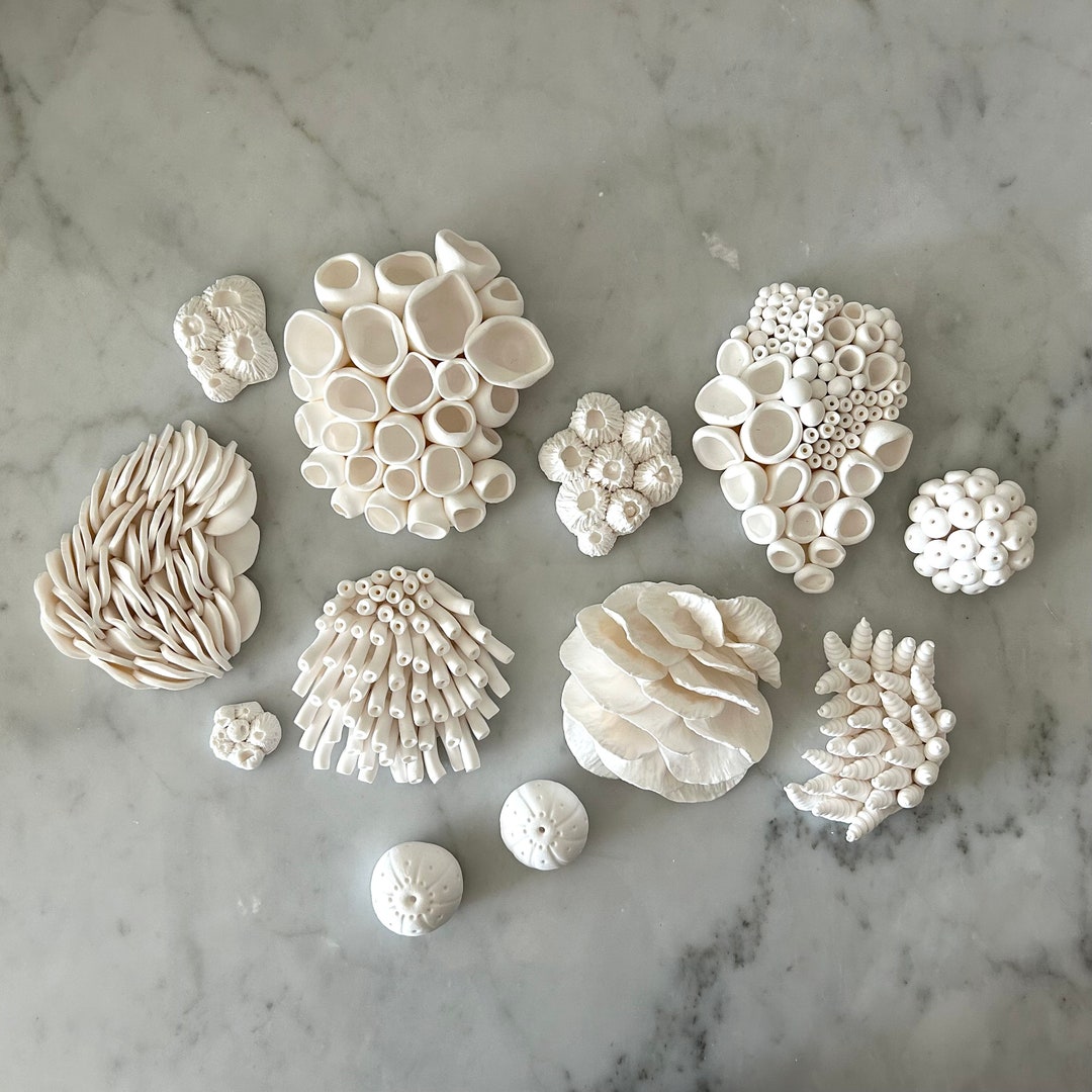 Clay Coral Wall Art Installation, 3D Coastal Sculpture, Handmade - Etsy