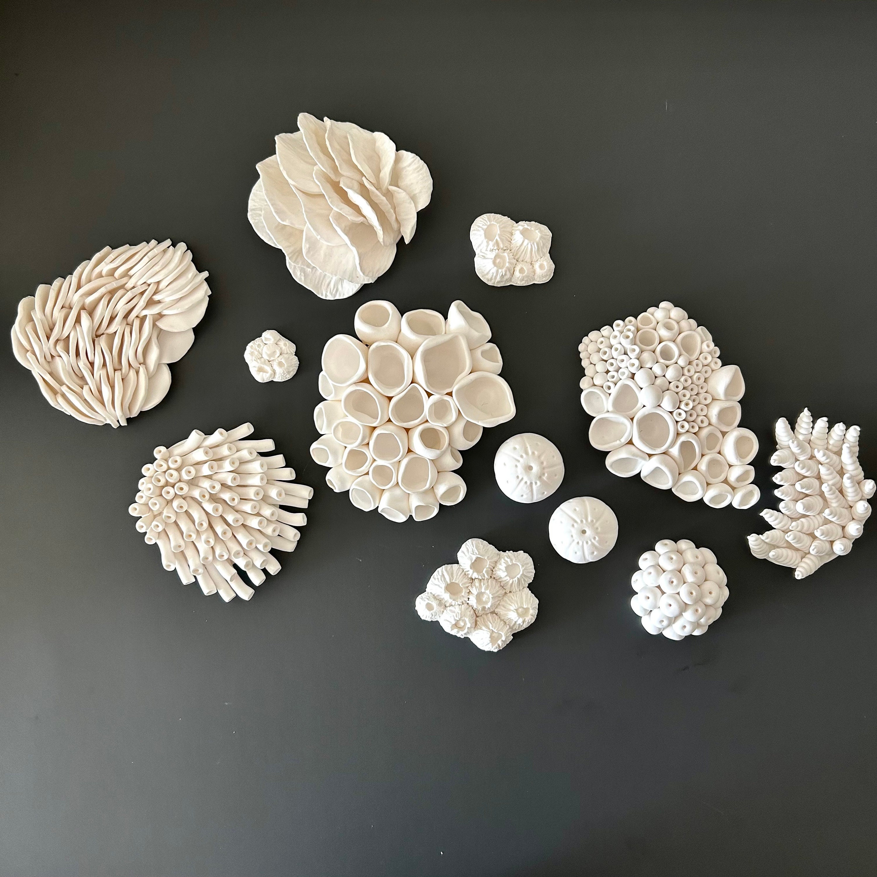 Clay Coral Wall Art Installation, 3D Coastal Sculpture, Handmade - Etsy