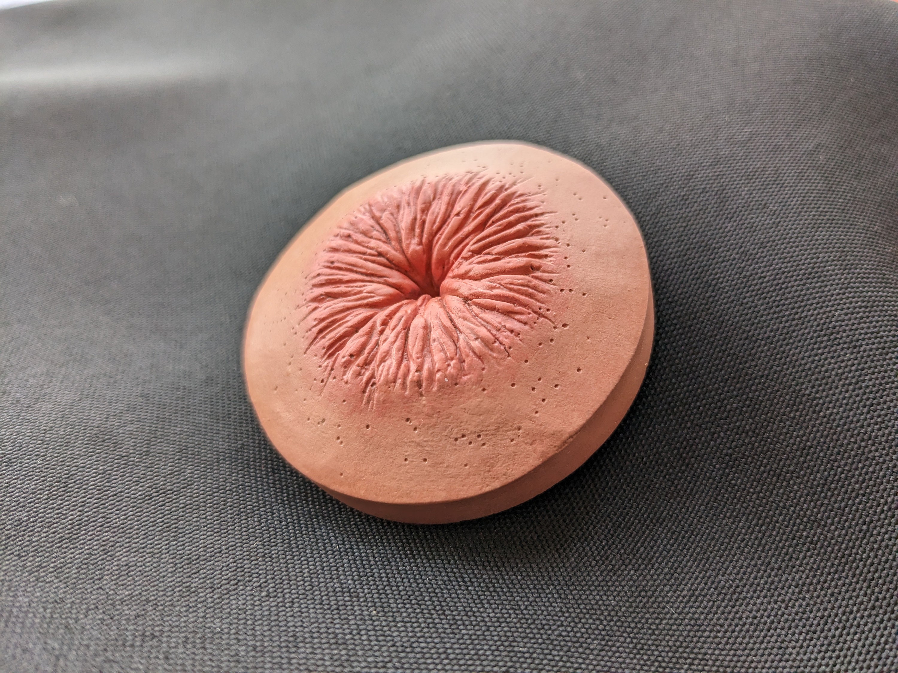 The shock Me Butthole - Etsy