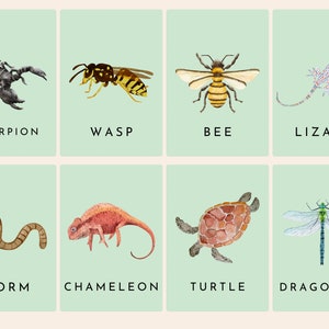 Montessori Nature Flashcards: Reptiles, Insects, and Bugs for ...