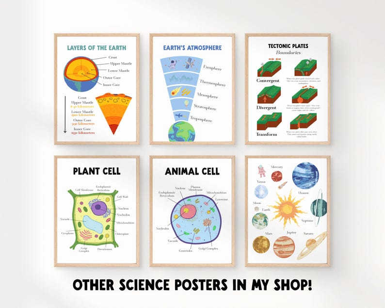 Labeled Plant & Animal Cell Biology Posters | Educational Science Wall ...