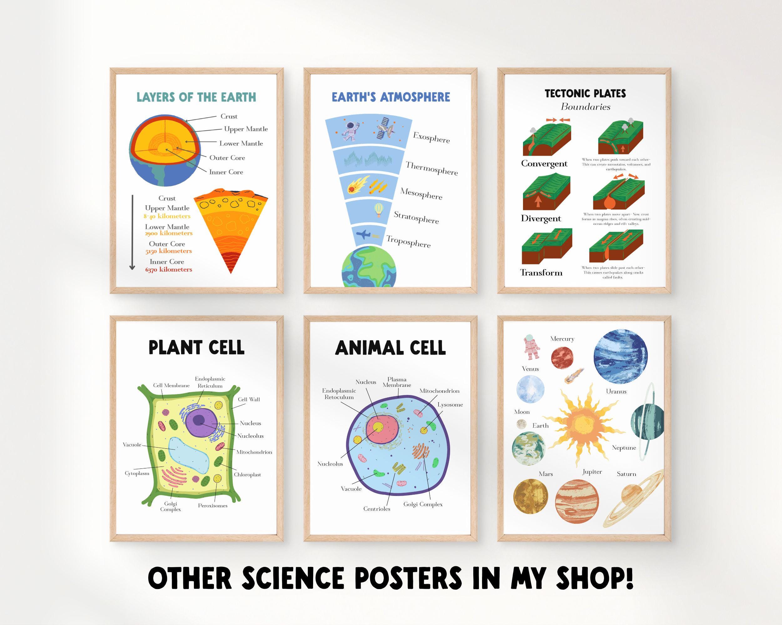 Labeled Plant & Animal Cell Biology Posters | Educational Science Wall ...