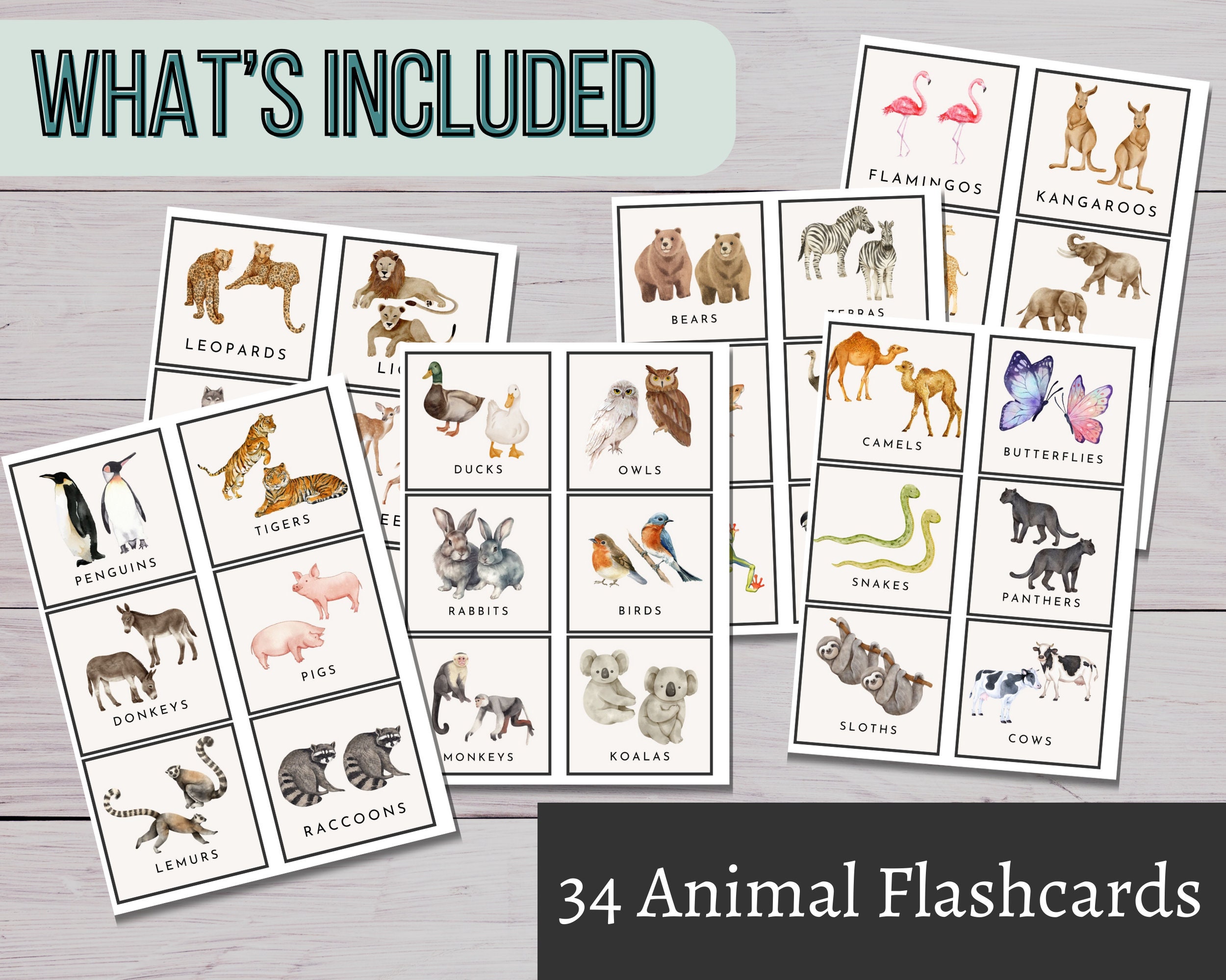 Noahs Ark Bible Unit Homeschool Christian Bible Lesson Kids Bible Study ...