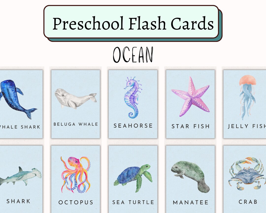 28 Ocean Animals Cards Sea Creatures Flashcards Ecosystem Unit ...