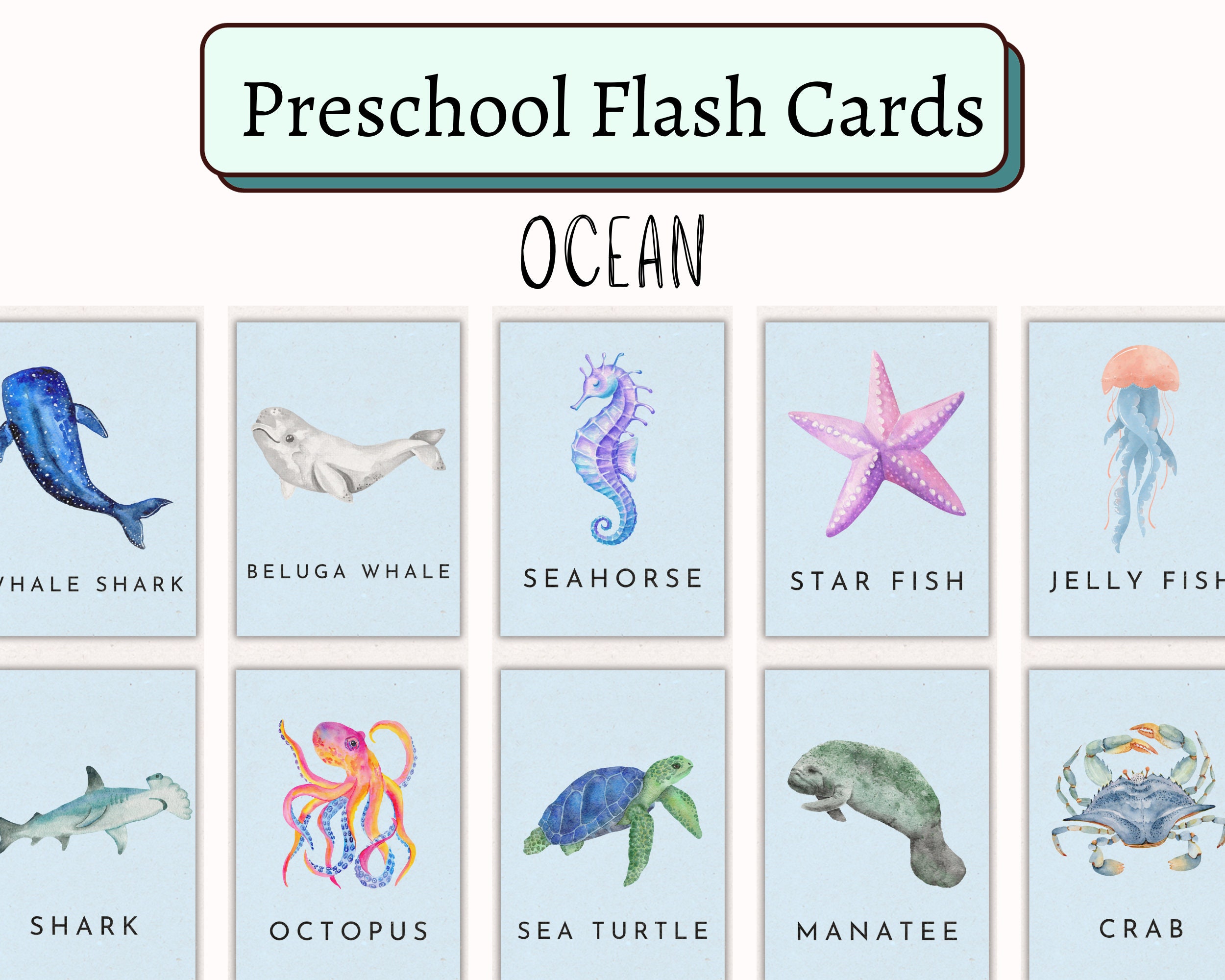 28 Ocean Animals Cards Sea Creatures Flashcards Ecosystem Unit ...