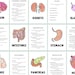 Anatomy Flashcards Printable – Human Body Parts & Organs for Homeschool ...