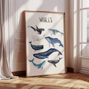 Sea Creatures Poster Set of 3 | Whales and Sharks Prints | Ocean Themed ...