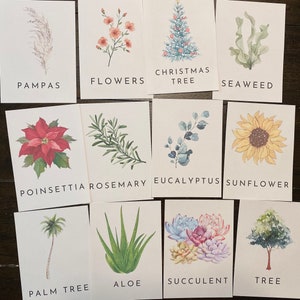 24 Plants Flashcards Montessori Botanical Flashcards for Kids Nature ...