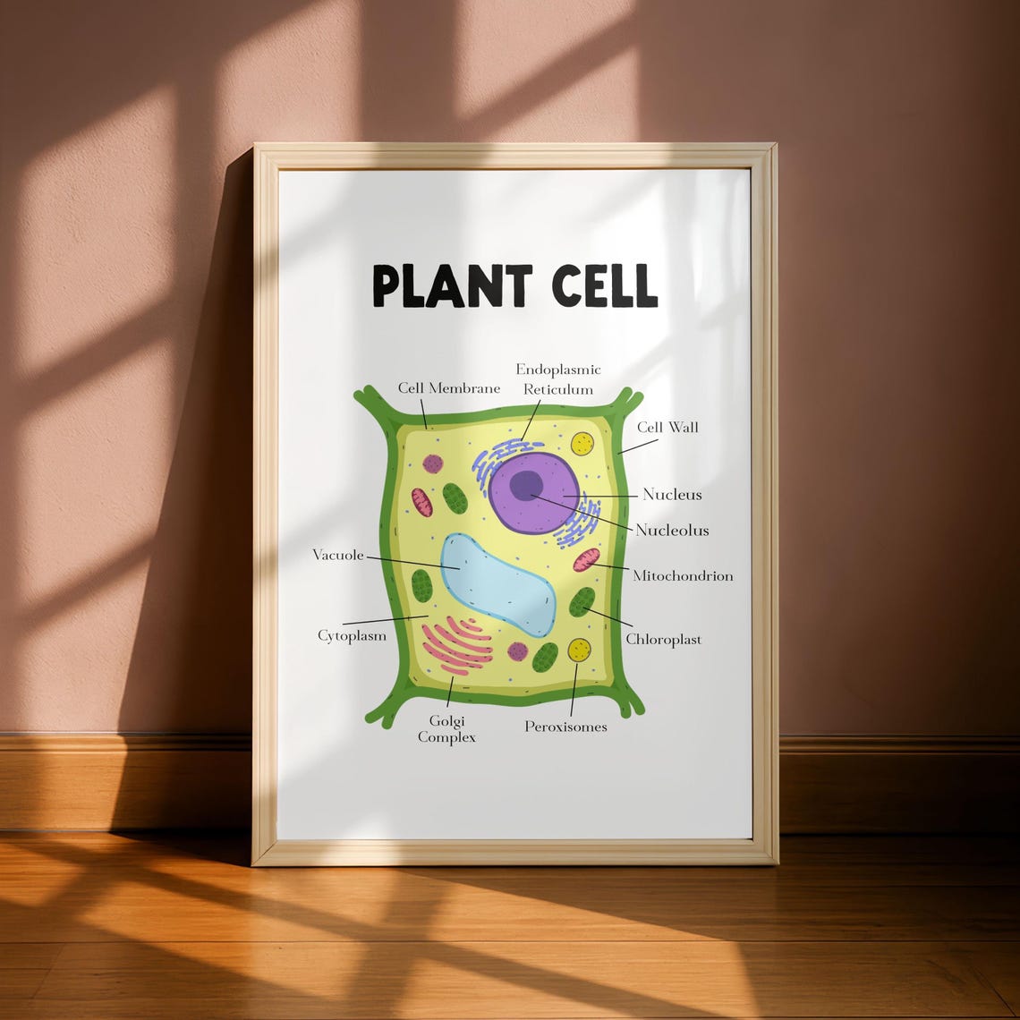 Labeled Plant & Animal Cell Biology Posters | Educational Science Wall ...