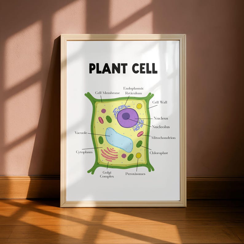 Labeled Plant & Animal Cell Biology Posters | Educational Science Wall ...