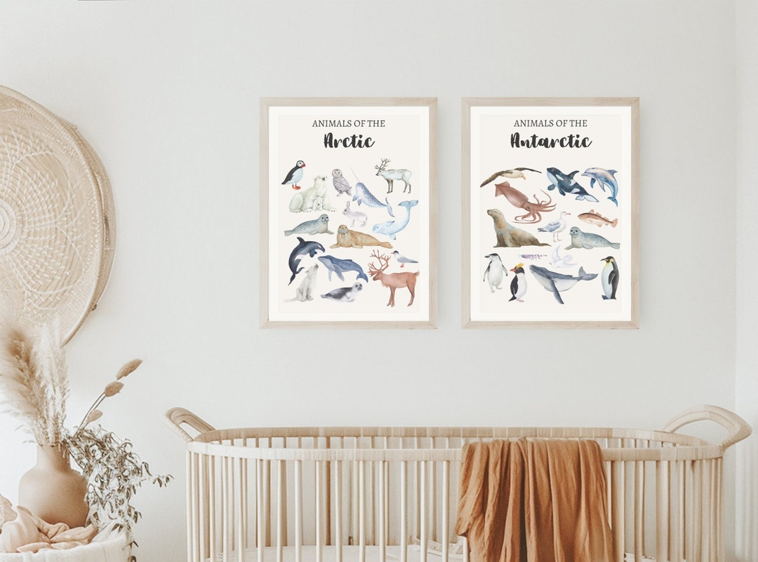 Polar Arctic Animals Educational Prints Arctic and Antarctic Animals ...