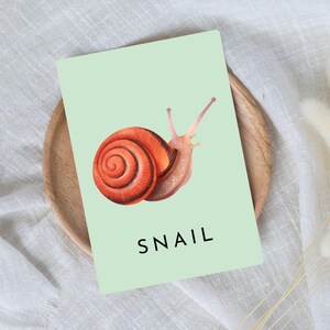 Montessori Nature Flashcards: Reptiles, Insects, and Bugs for ...