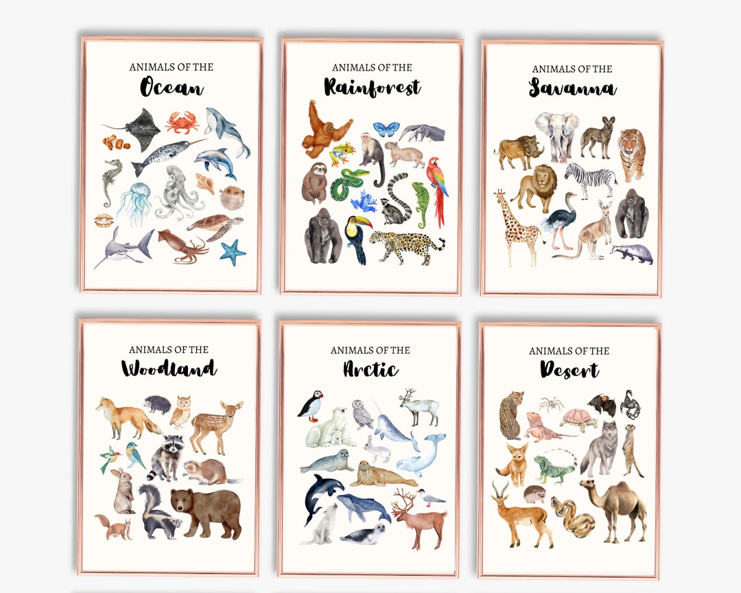 Animal Educational Prints Set of 6 | Nature Homeschool Printable ...