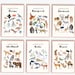 Animal Classifications Prints Set of 6 | Homeschool Printable | Animal ...