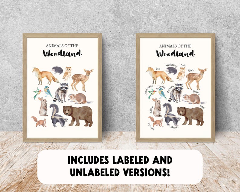 Woodland Forest Animals Educational Wall Art | Nature Nursery Print ...