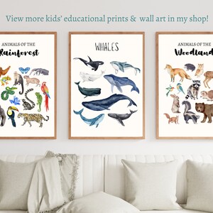 Animal Classifications Prints Set of 6 | Homeschool Printable ...